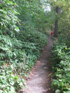 Pipers Creek Natural Area | Year of Seattle Parks