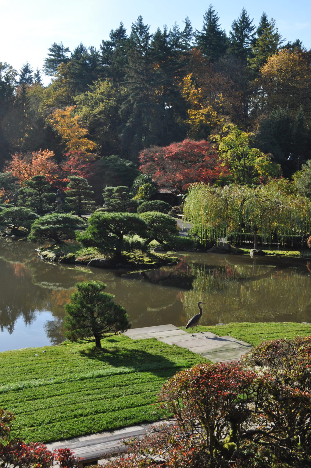 Favorite Gardens | Year of Seattle Parks