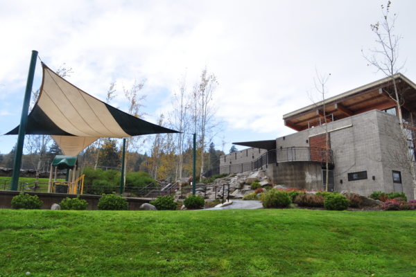 Lewis Creek Park Year Of Seattle Parks